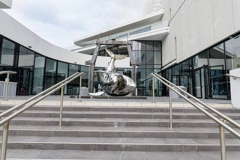 Le Musée Mer Marine de Bordeaux réouvre ses portes - Mer & Océan