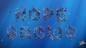 Le projet SHEBA HOPE GROWS - Mer & Océan