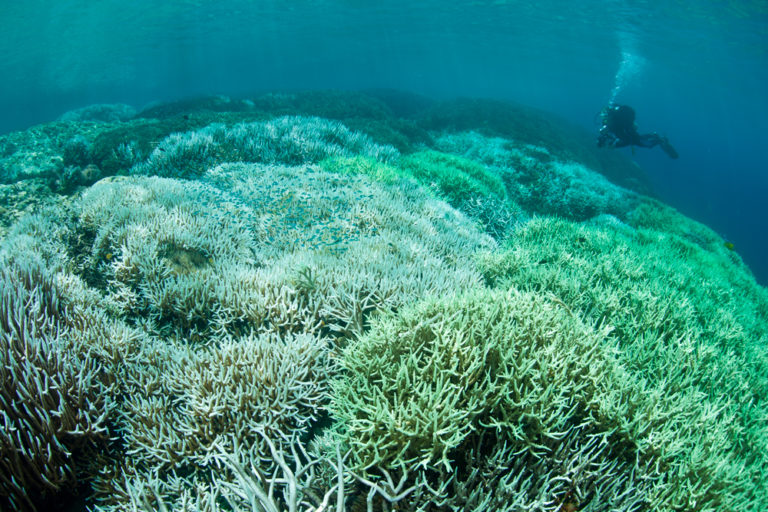 Pourquoi les océans se réchauffent ? - Mer & Océan
