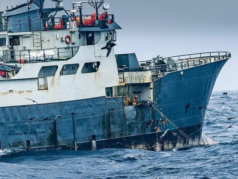 Pourquoi la pêche intensive nuit-elle à la planète ? - Mer & Océan